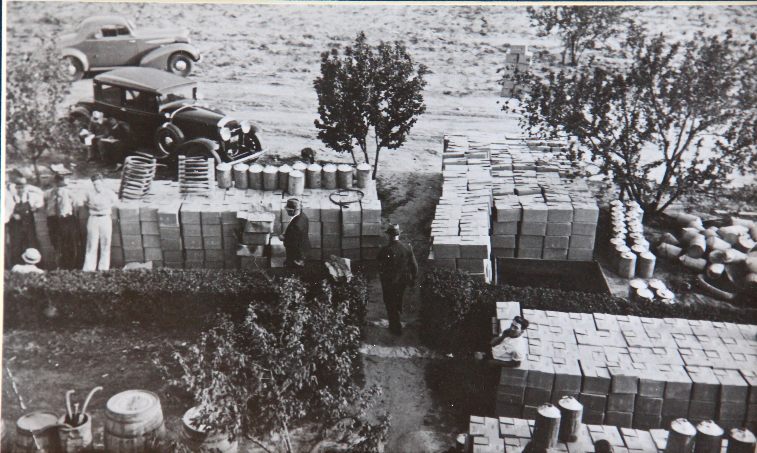 Junior Johnson Moonshine